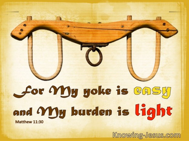 Yolk is Easy??? | Fr. Jim Wyse